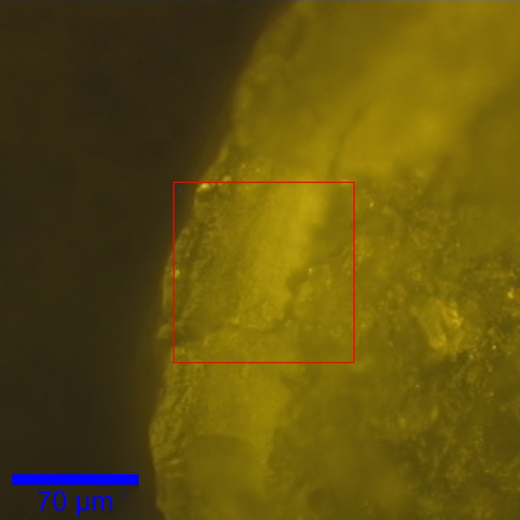 Confocal Raman Microscopy - MVA Scientific Consultants