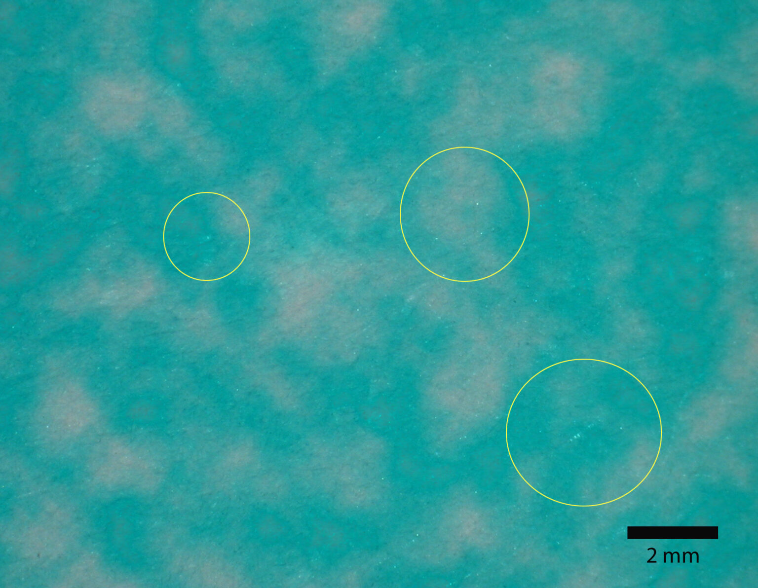 Case Study: Spots on Paper - MVA Scientific Consultants