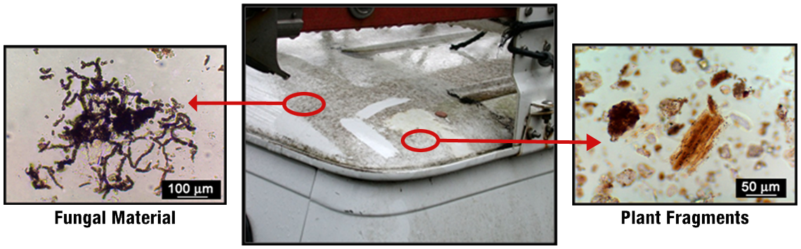 Case Study: Examination of Dust on Vehicles - MVA Scientific Consultants