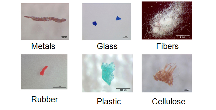 Highlighted Services: Particulate Analysis of Injectable Products - MVA ...