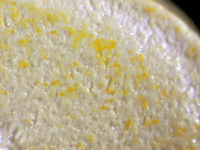 Case Study: Contamination Identification in Drug Tablet - MVA ...