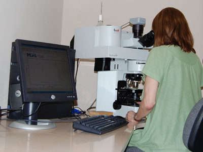 Case Study: Contamination Identification in Drug Tablet - MVA ...