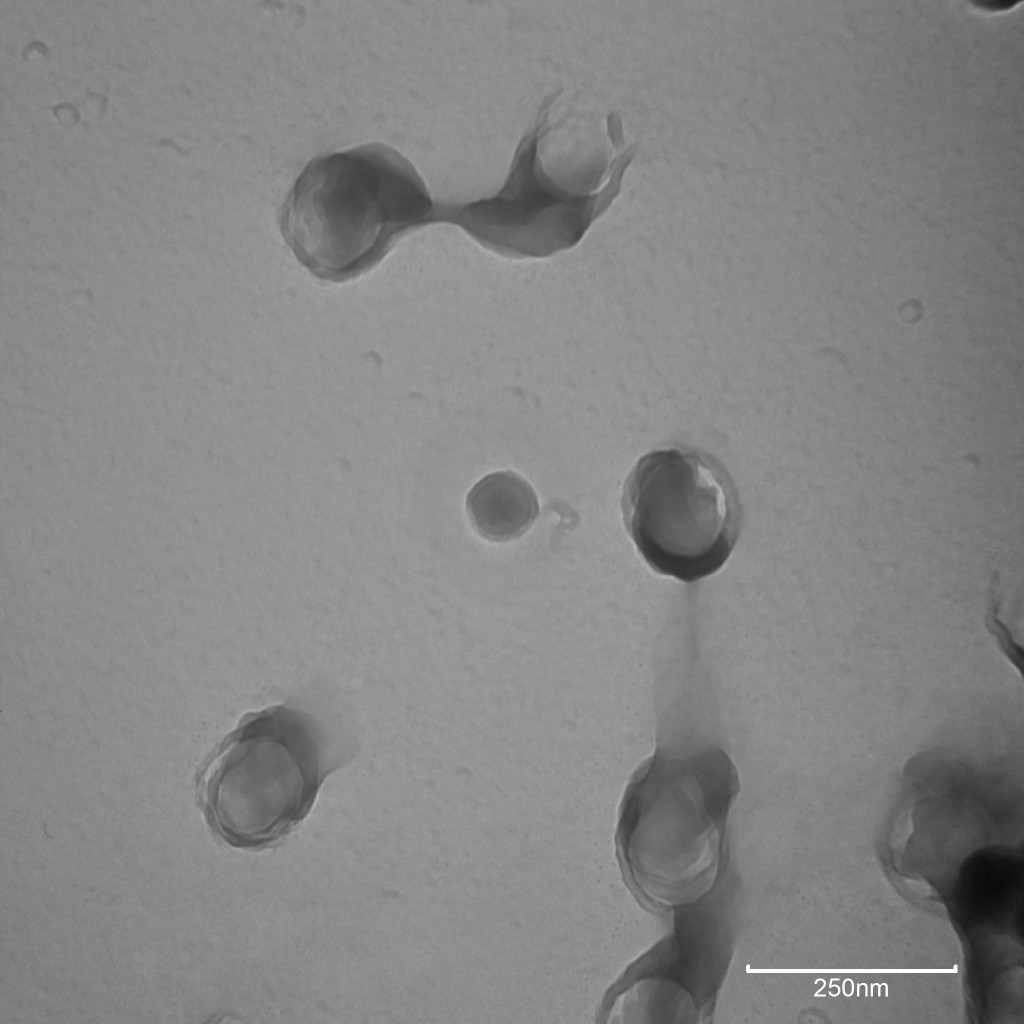 Case Study: Nanoparticle Testing in Consumer Product: Analysis of ...